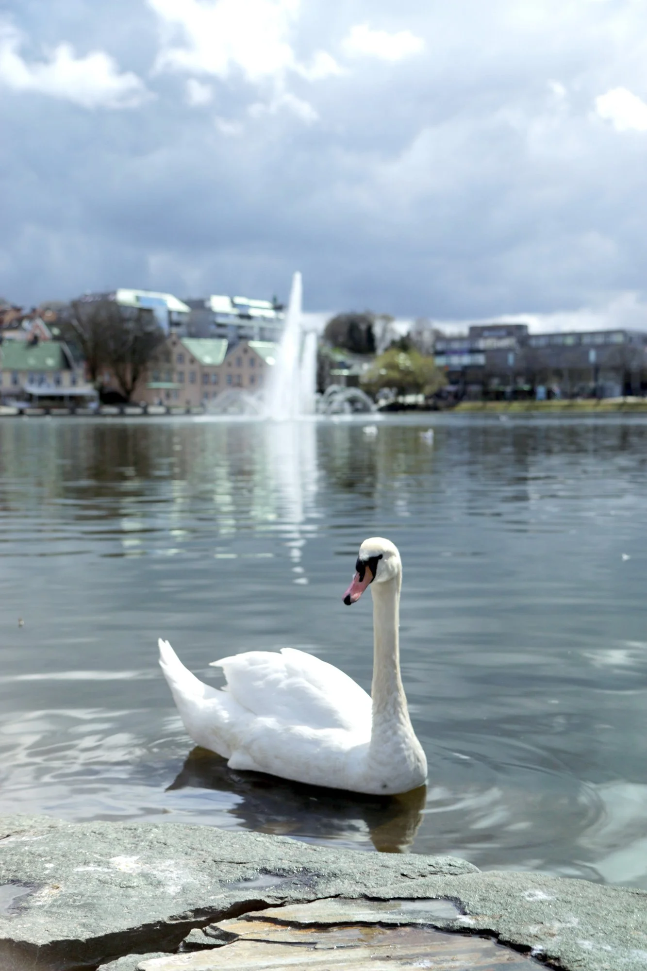 How to Spend One Day in Stavanger, Norway | Things To Do in Stavanger ...