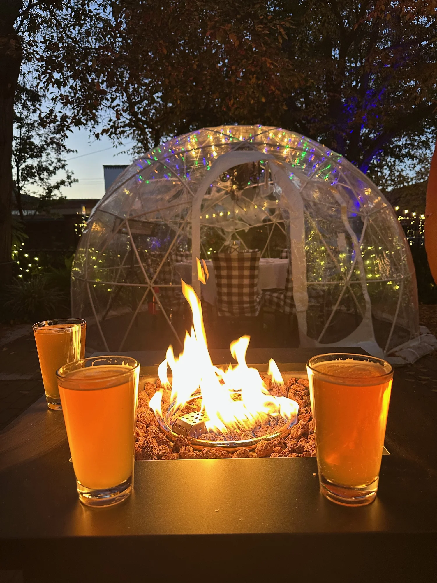 Arctic Igloos — Georgetown Vosh | Lakewood, OH
