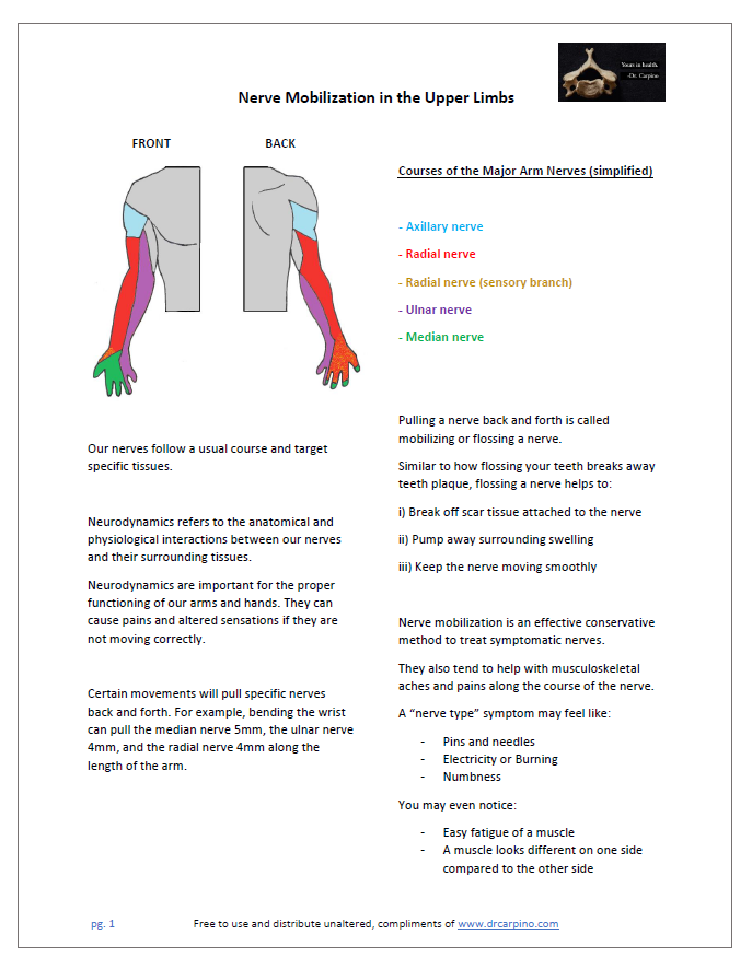 Nerve Mobilization in the Upper Limbs — DR. CARPINO