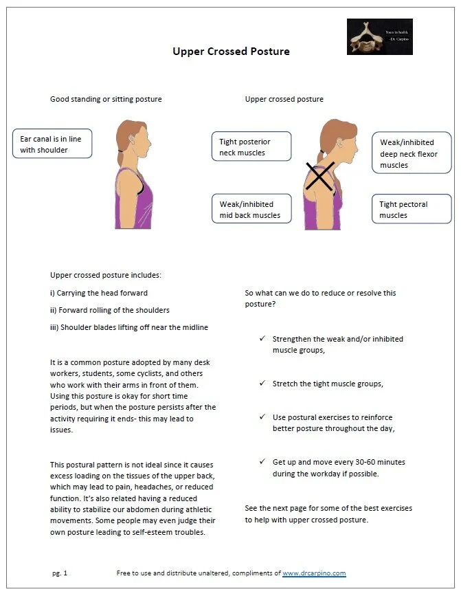 Upper crossed posture patient handout — DR. CARPINO