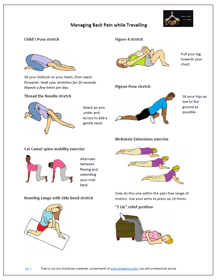 Managing back pain while travelling handout — DR. CARPINO