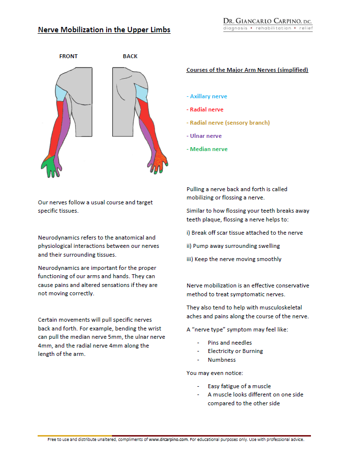 Nerve Mobilization in the Upper Limbs — DR. CARPINO