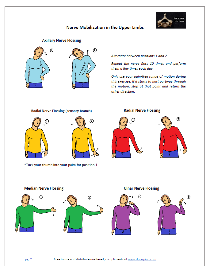 Nerve Mobilization in the Upper Limbs — DR. CARPINO