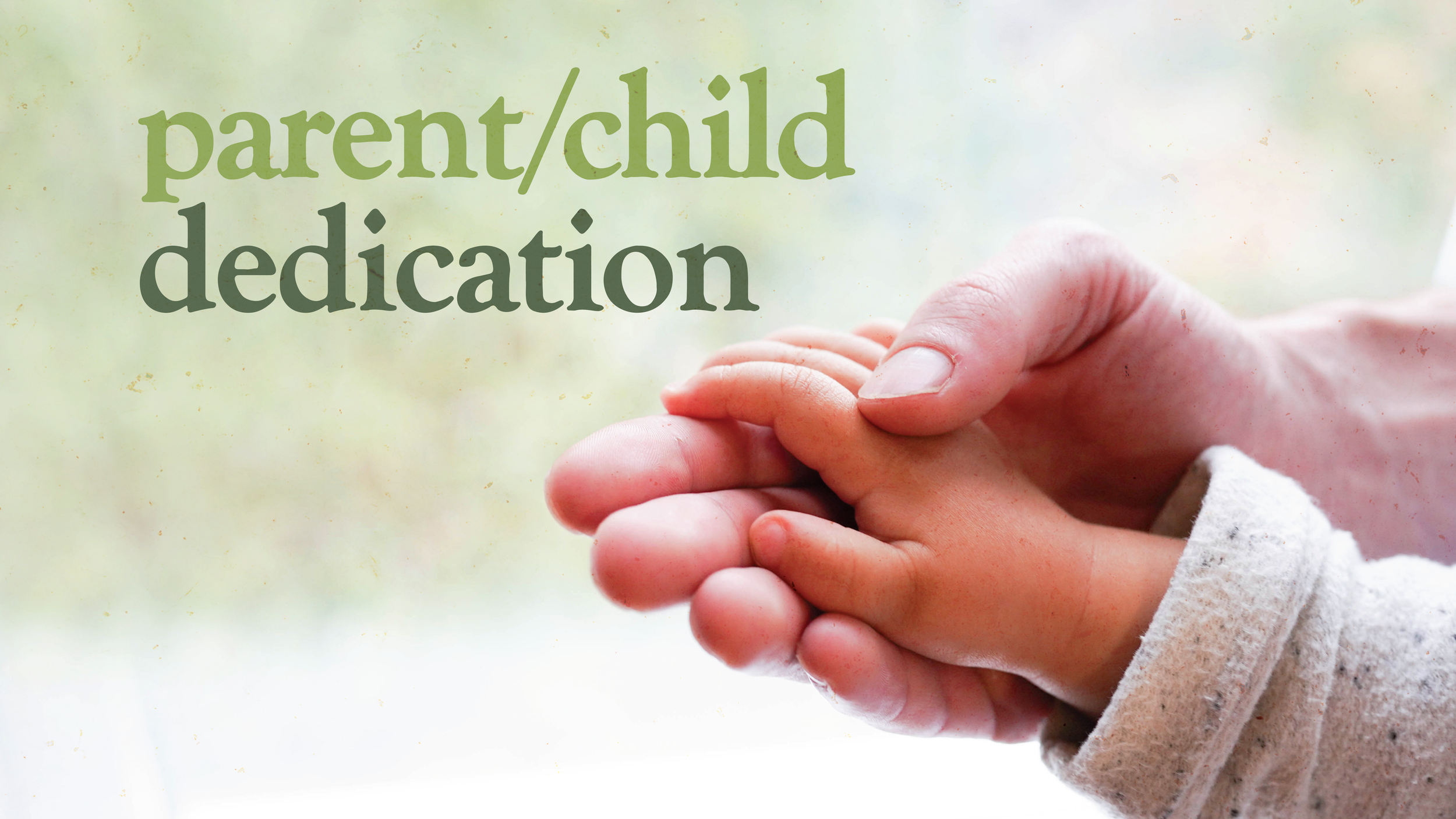 Dedication — North Way Bible Church - Leander