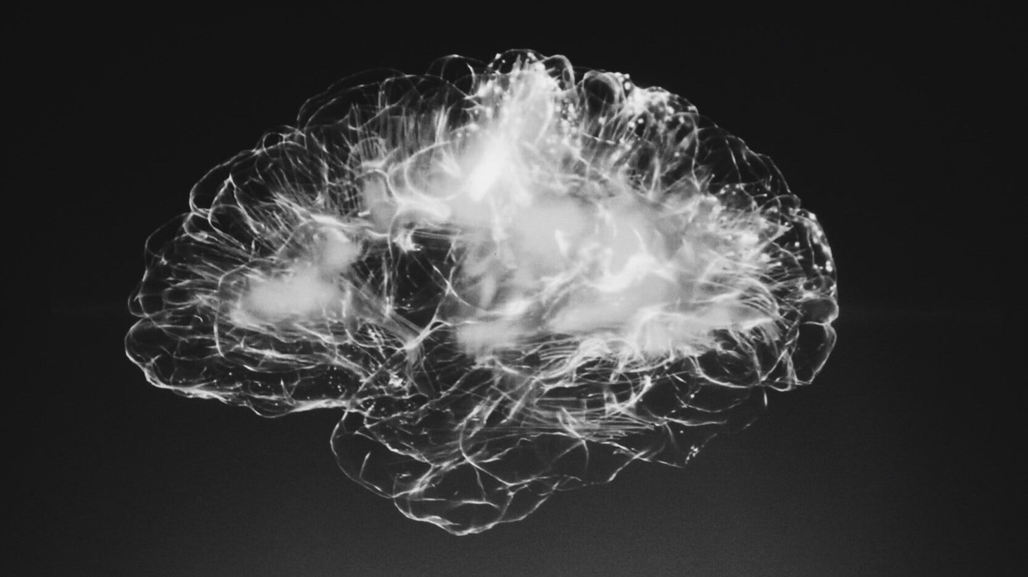 Z-Health | Neurocentric Movement