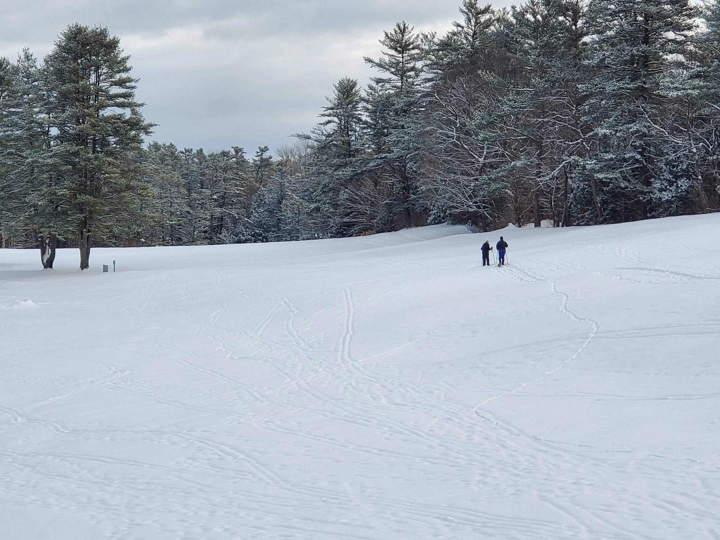 Winter Recreation Guide — Finding Our Stride