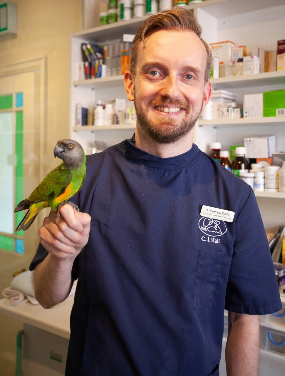CJ Hall Vets