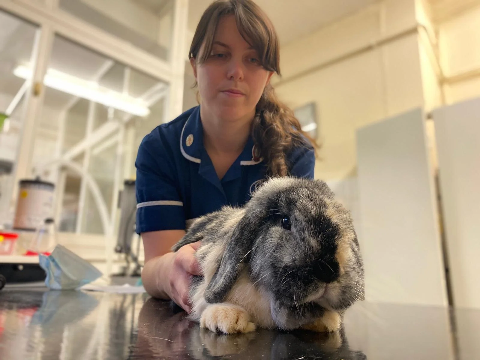 Work with us — CJ Hall Vets