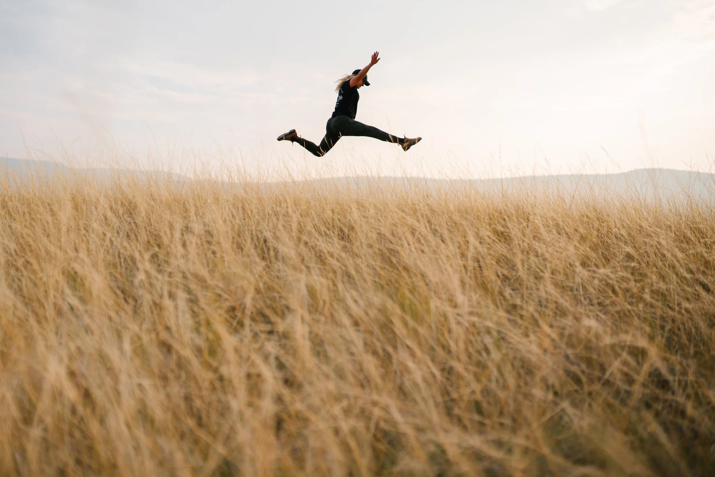 Miranda Murphy Inc. Chartered Professional Accountant