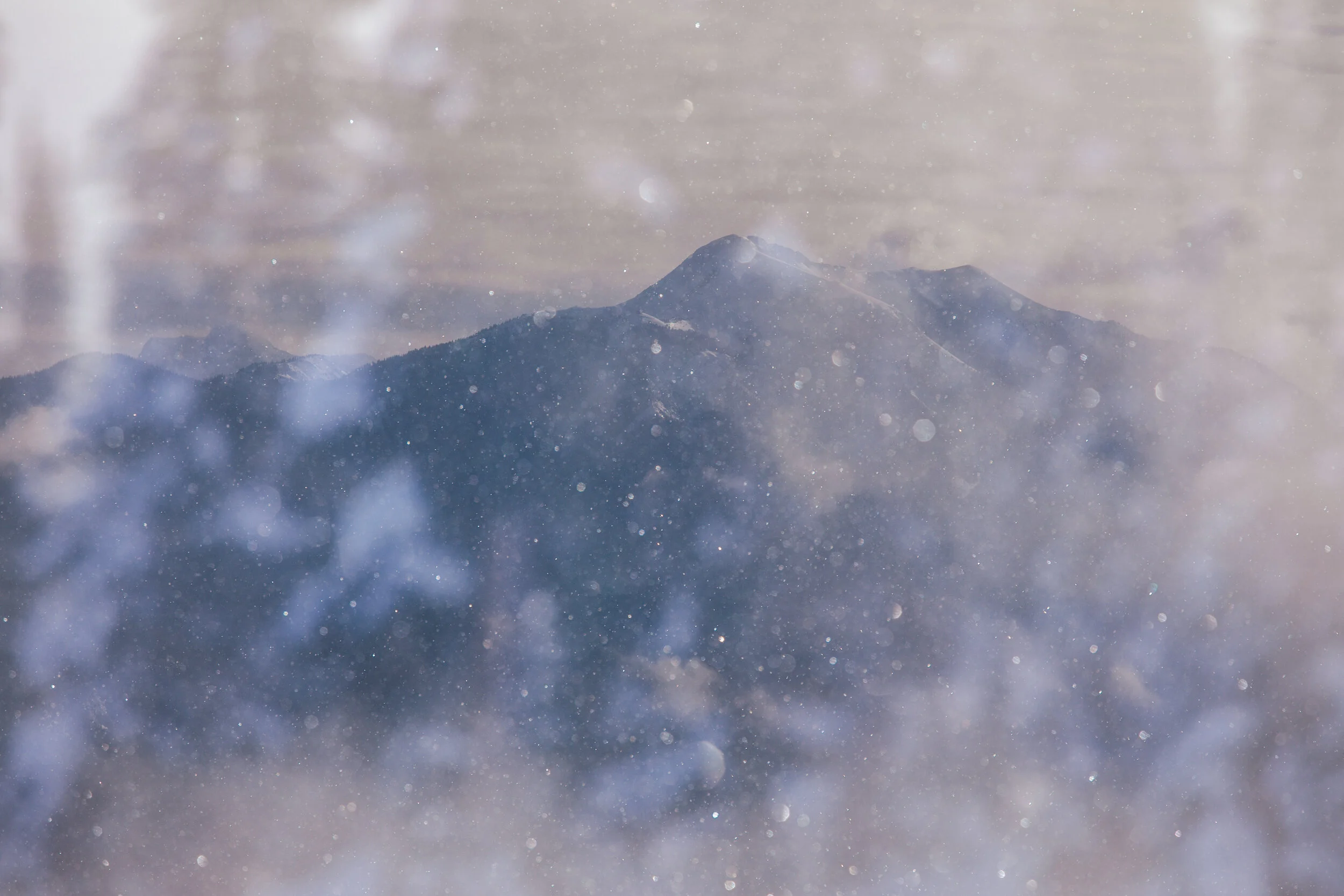 Contact — Miranda Murphy Inc. Chartered Professional Accountant