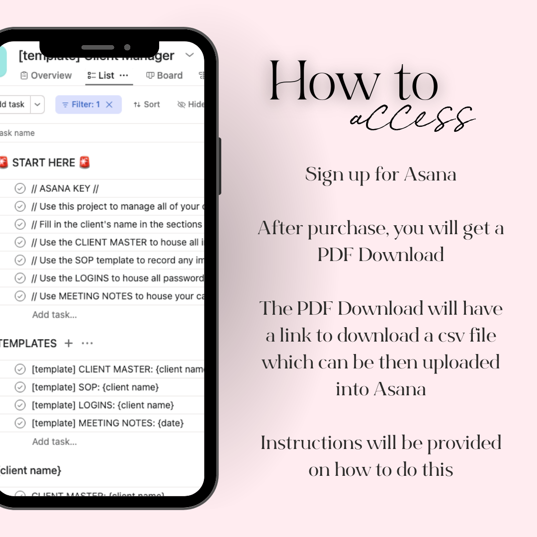 Client Manager Asana Project Template For Small Business System ...