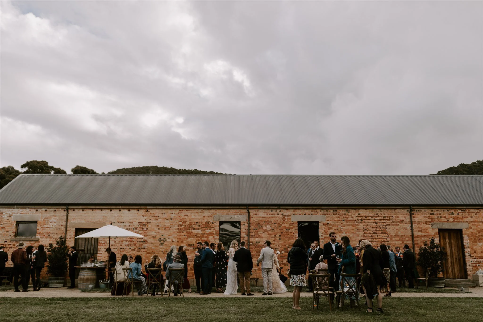 Our Work — Wild Kitchen