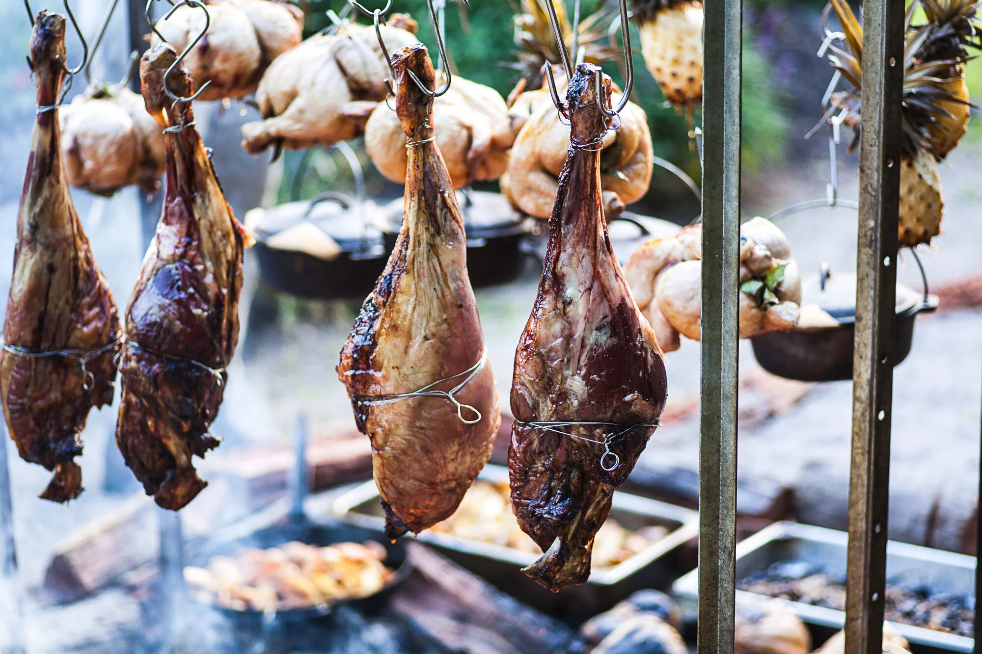 Our Work — Wild Kitchen