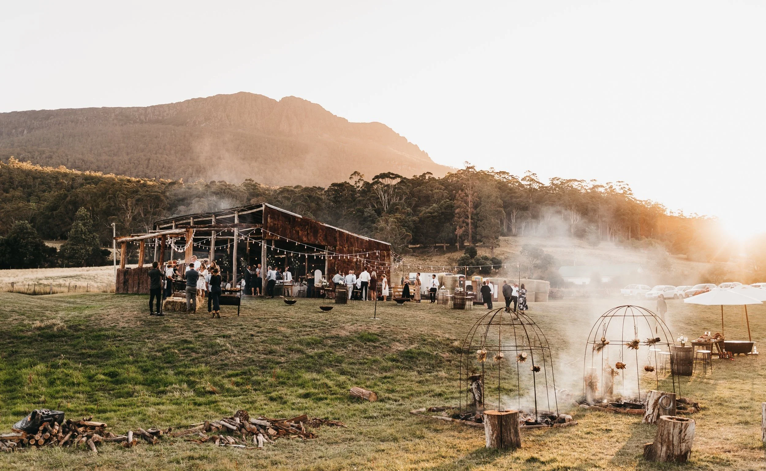 Wild Kitchen