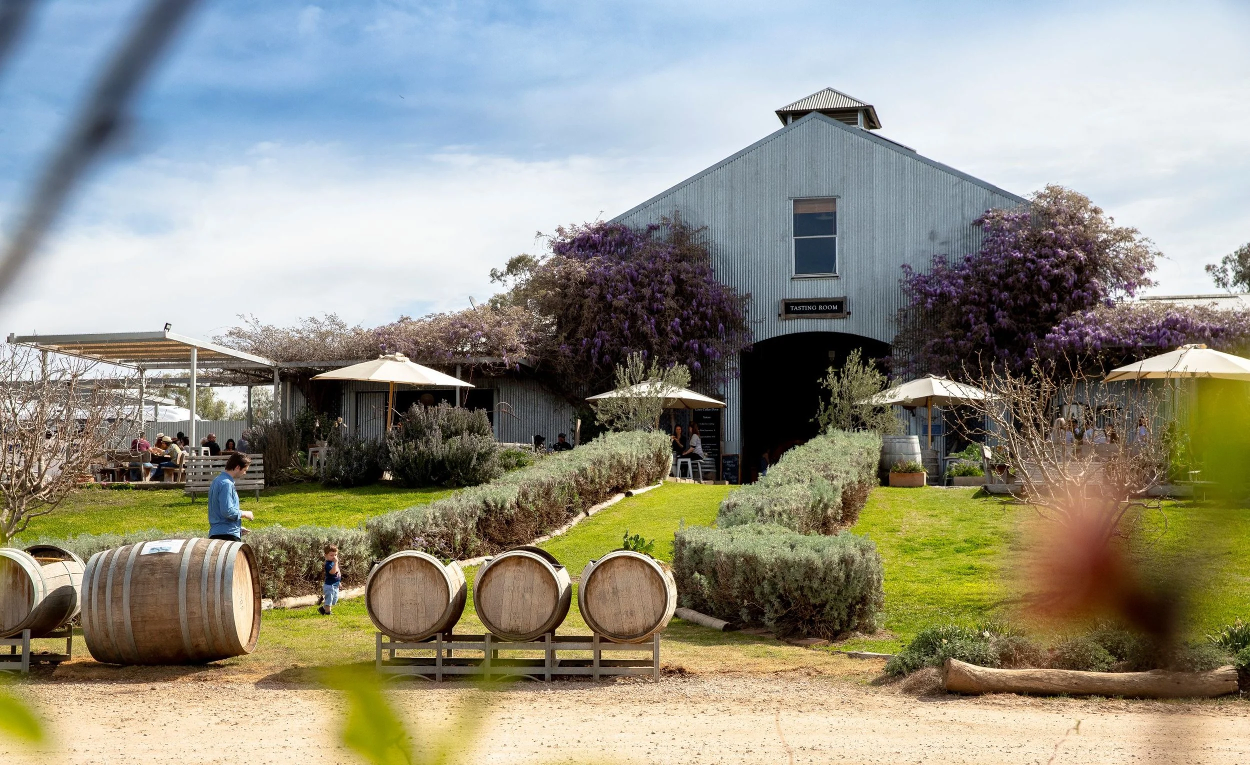 Interactive Food Maps — Mia Cucina