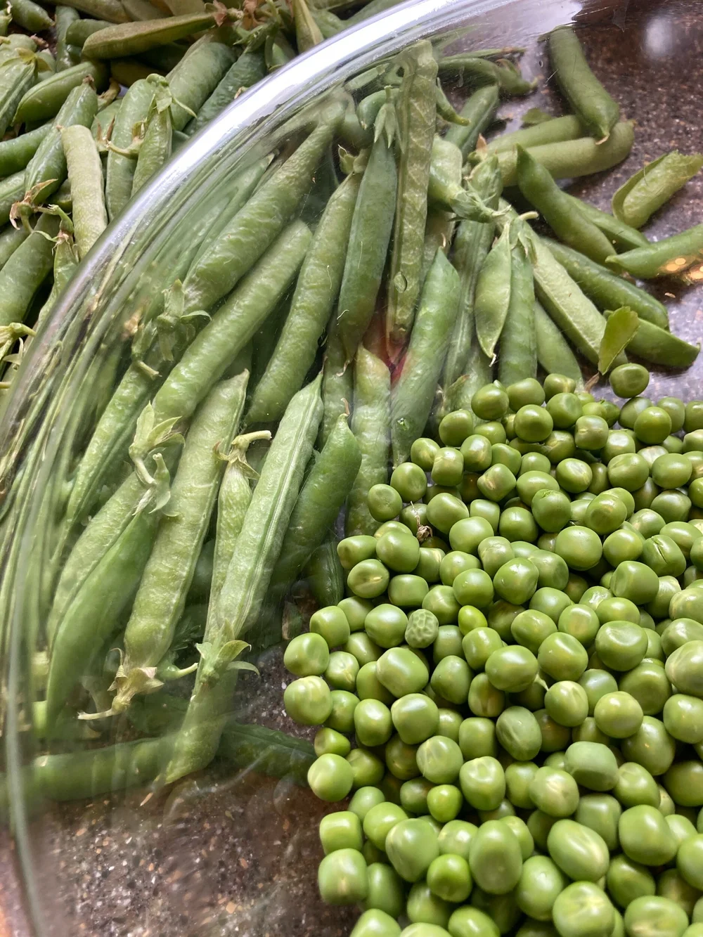 How to Pressure Can Peas in a Duo Pressure Cooker/Canner. — Wild Wisdom ...