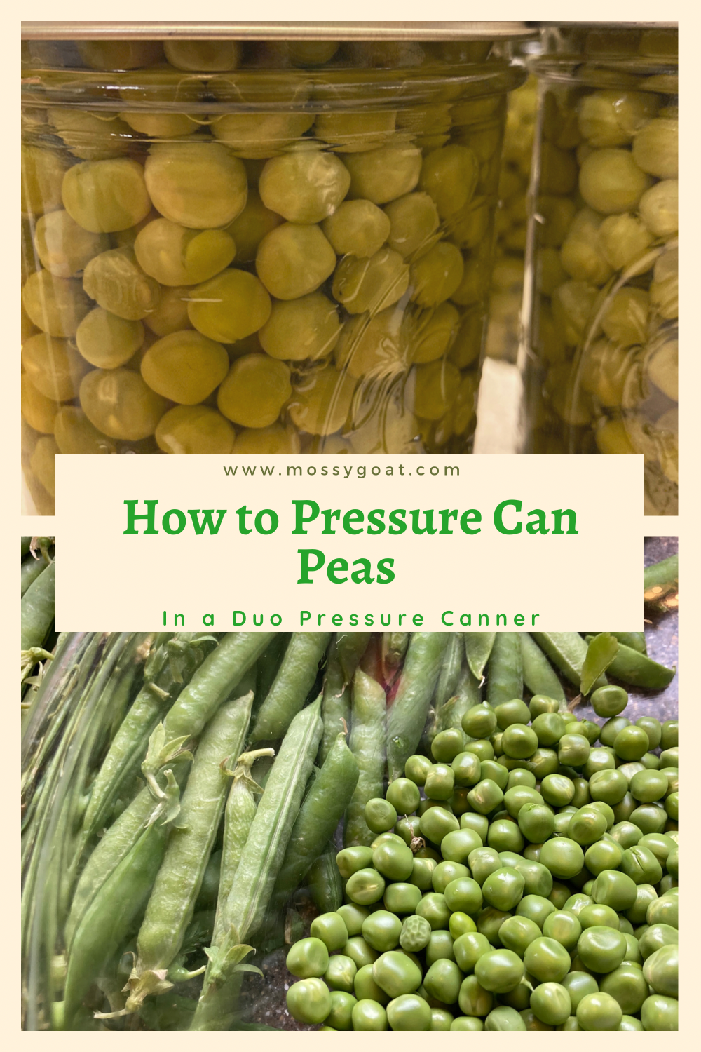 How to Pressure Can Peas in a Duo Pressure Cooker/Canner. — Wild Wisdom ...
