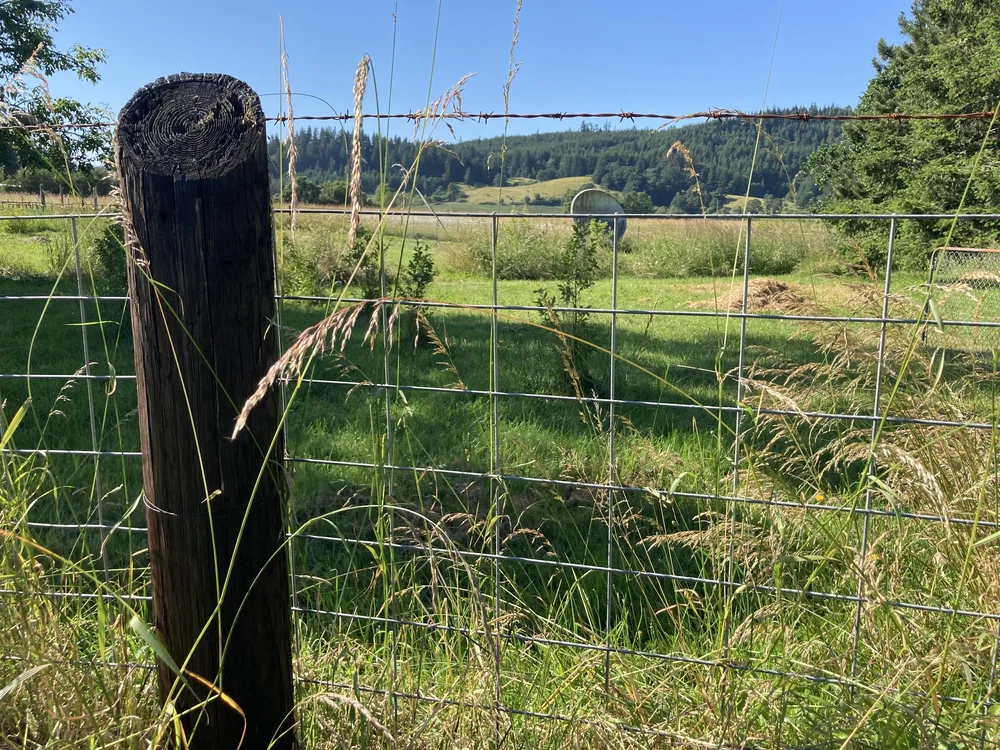 Guide to Homestead Fences — Wild Wisdom Wool