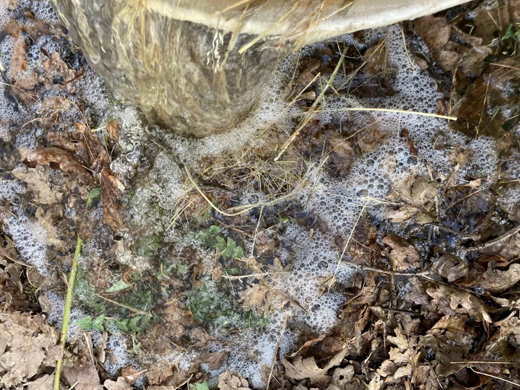 How and Why to Soak Hay — Wild Wisdom Wool Pellet Co.