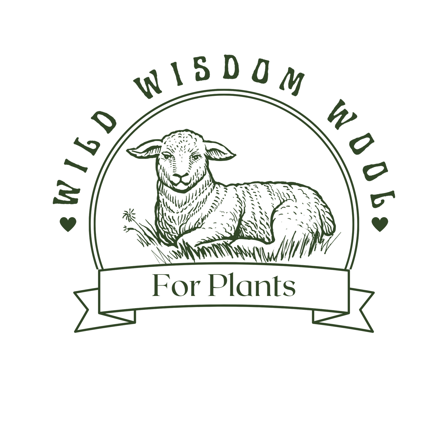 Wild Wisdom Wool