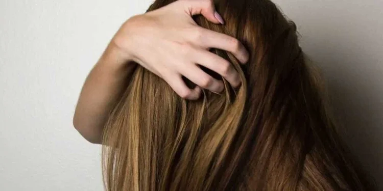 Why Is Porosity Important When It Comes to Hair Colour and How Can You ...