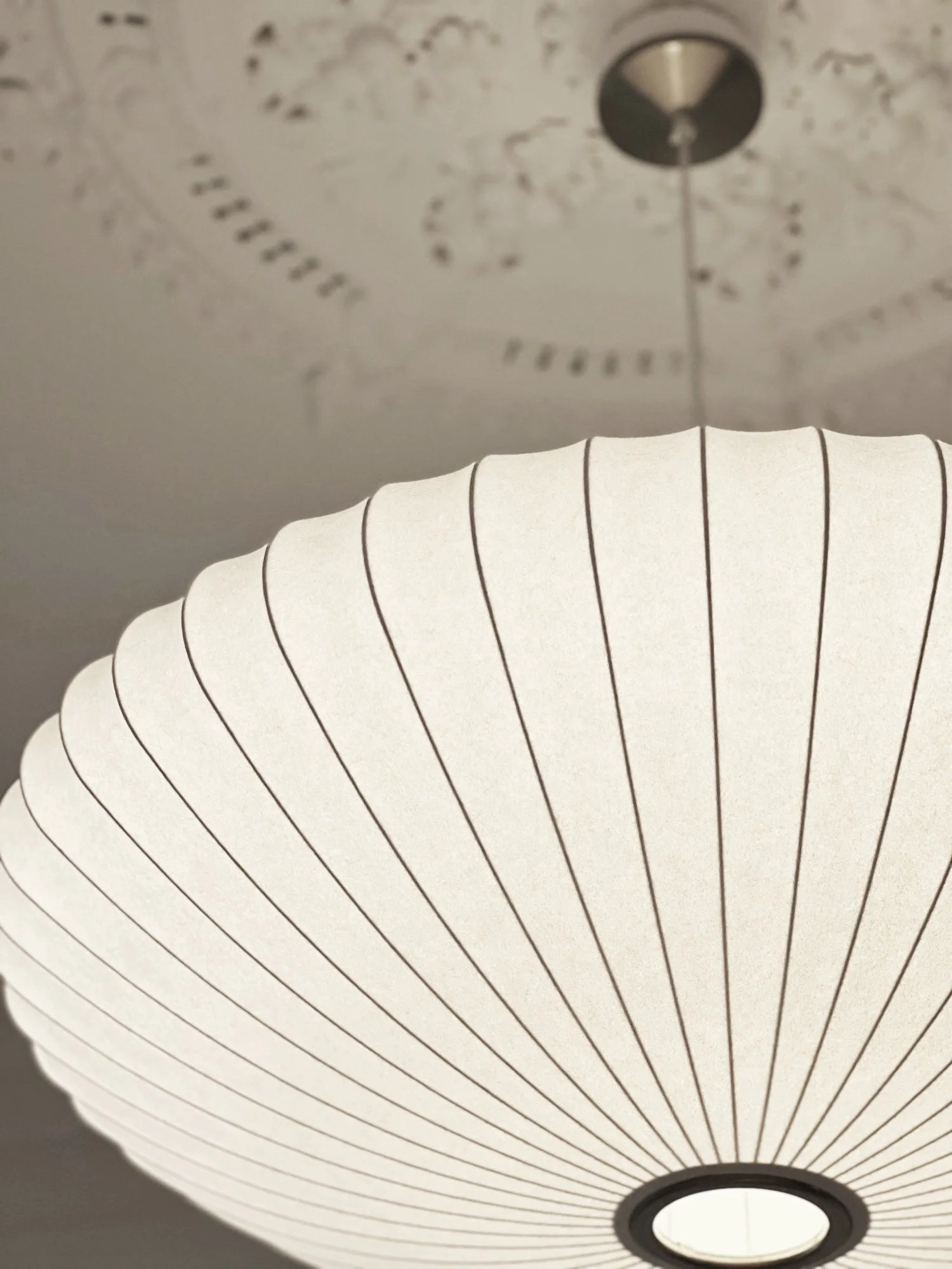 Catt Interiors | Interior Designer Melbourne