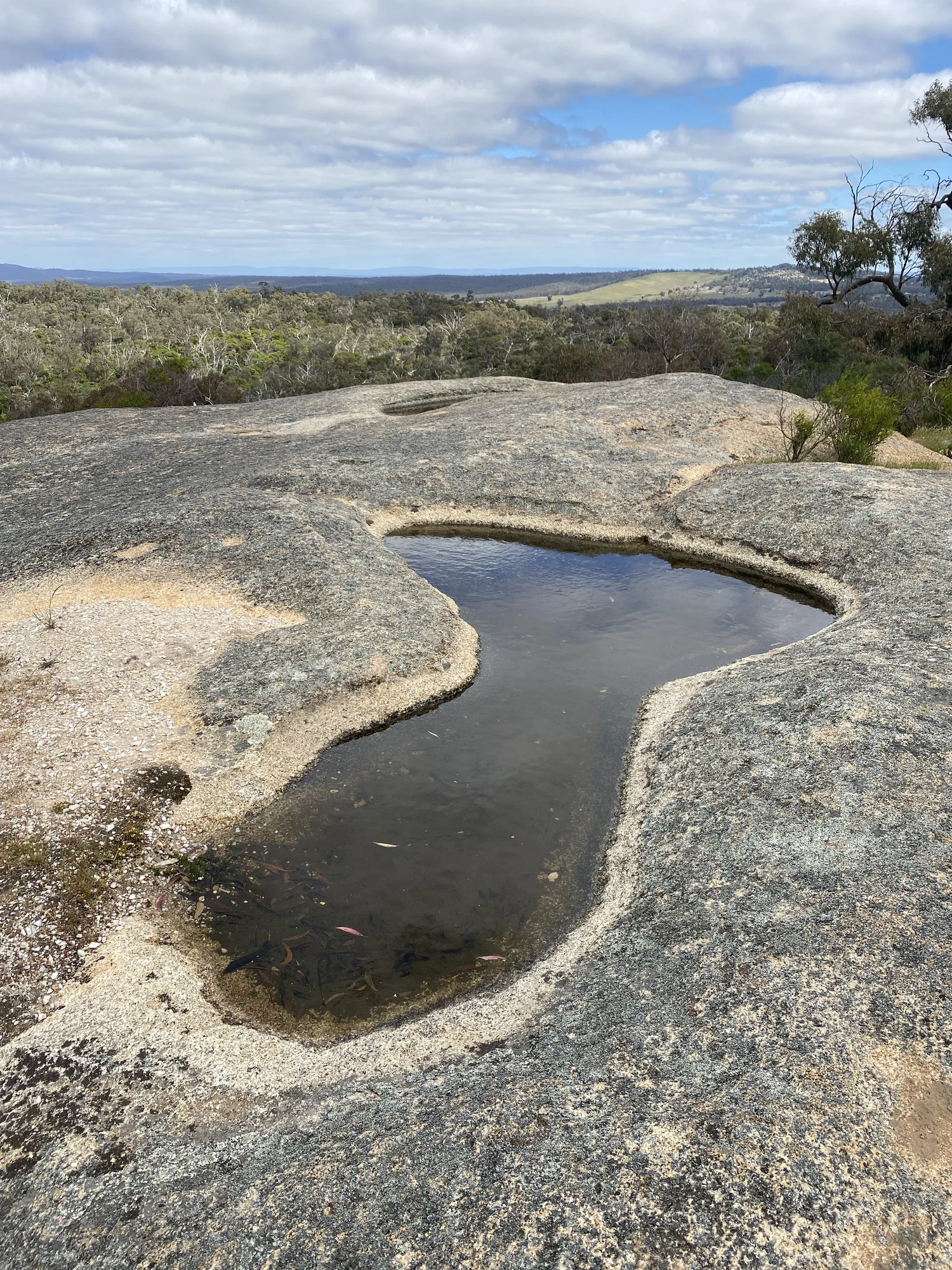 3 Acres Landscape Architecture