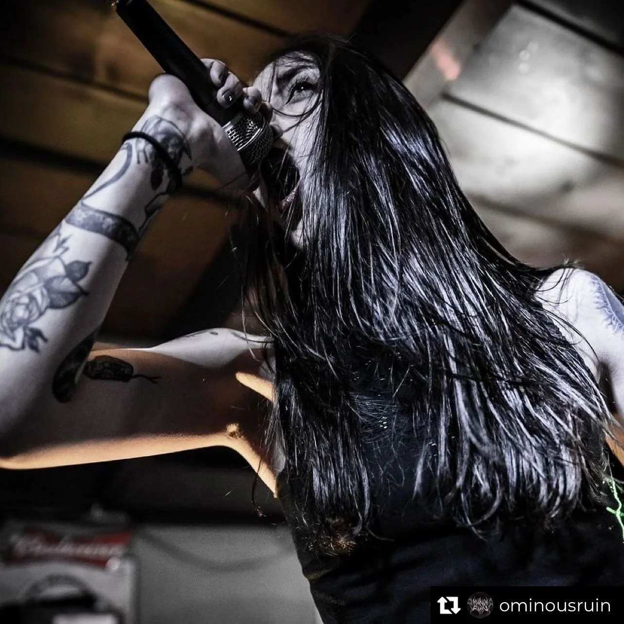 Embrium Official Website