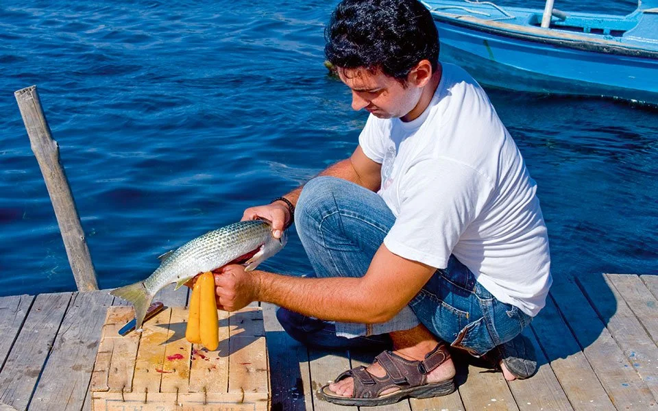 Fish Roe Salad/Dip aka Taramosalata Fluffy Mousse Made Easy — Greek ...