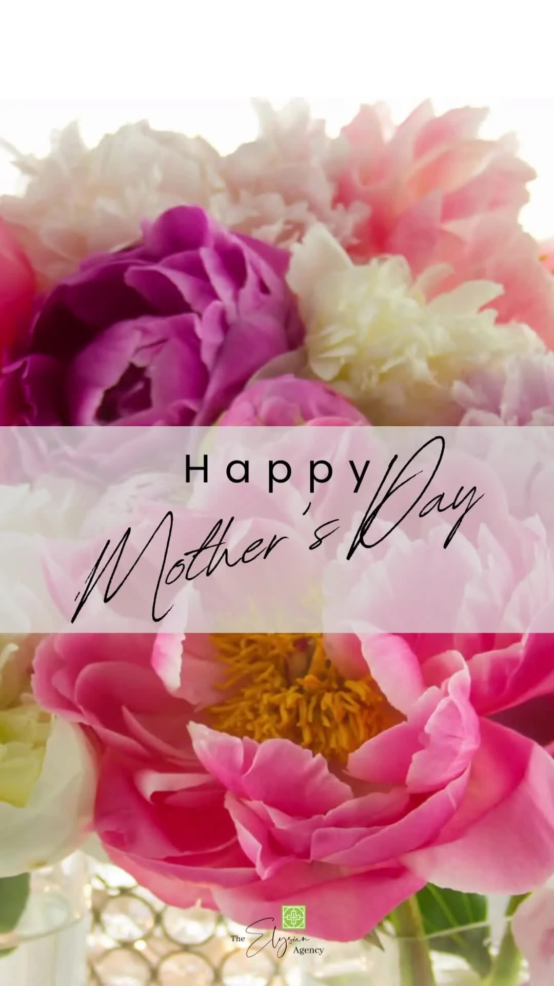 Meet Award-Winning Dallas Realtor Heather Kinder Sims — The Elysian Agency