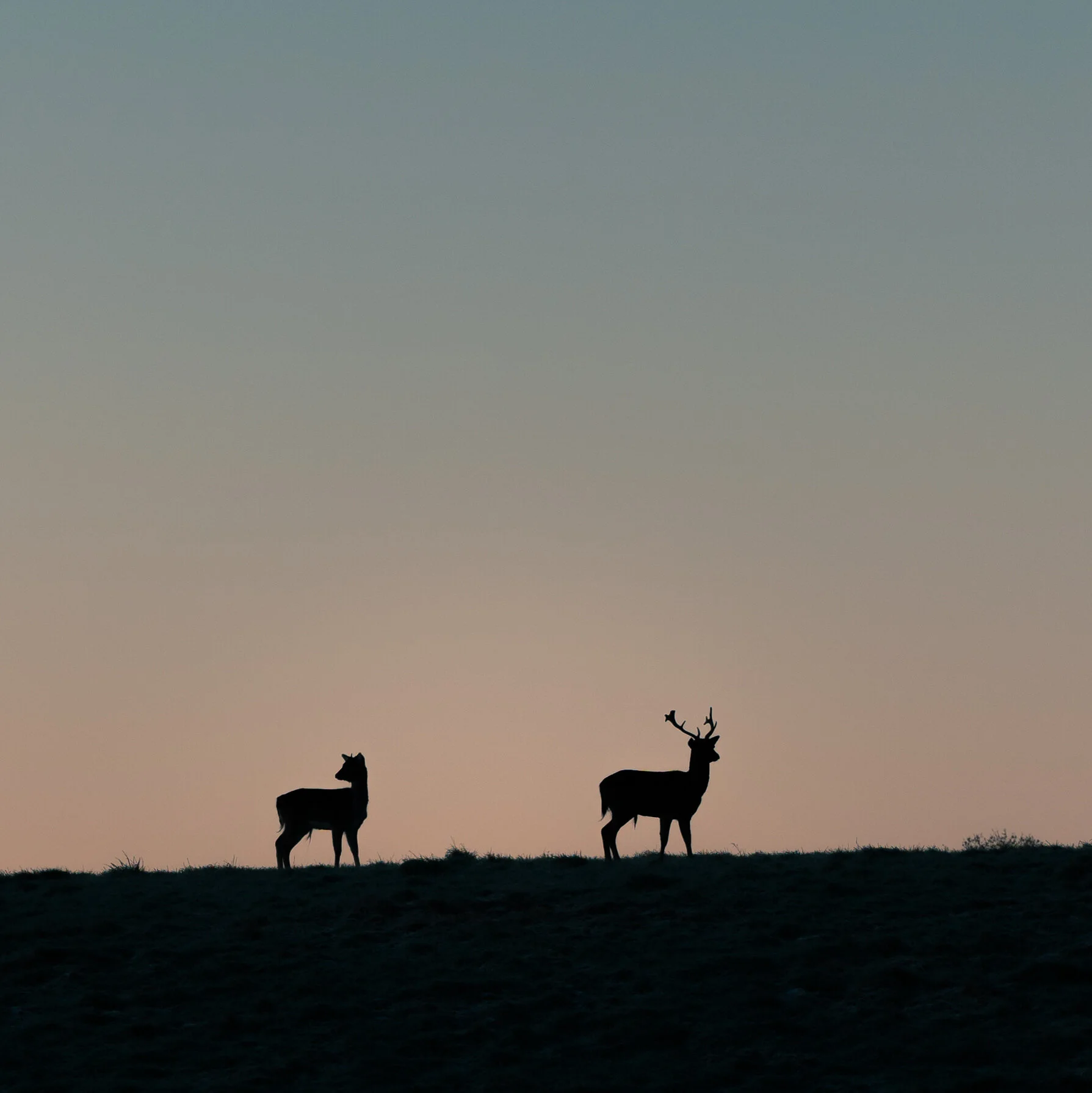 Gallery — Tony Crosse Photography