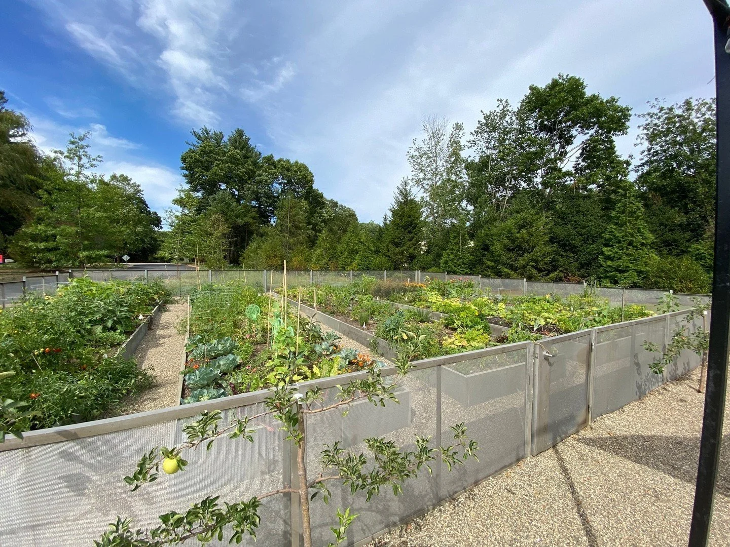 Contact | R.P. Marzilli & Company | Landscape Contractor | Construction ...