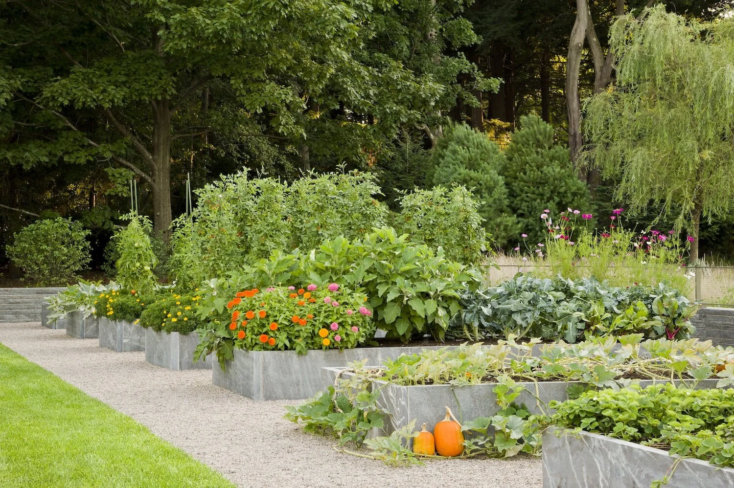 Services - R.P. Marzilli & Company | Landscape Contractor ...