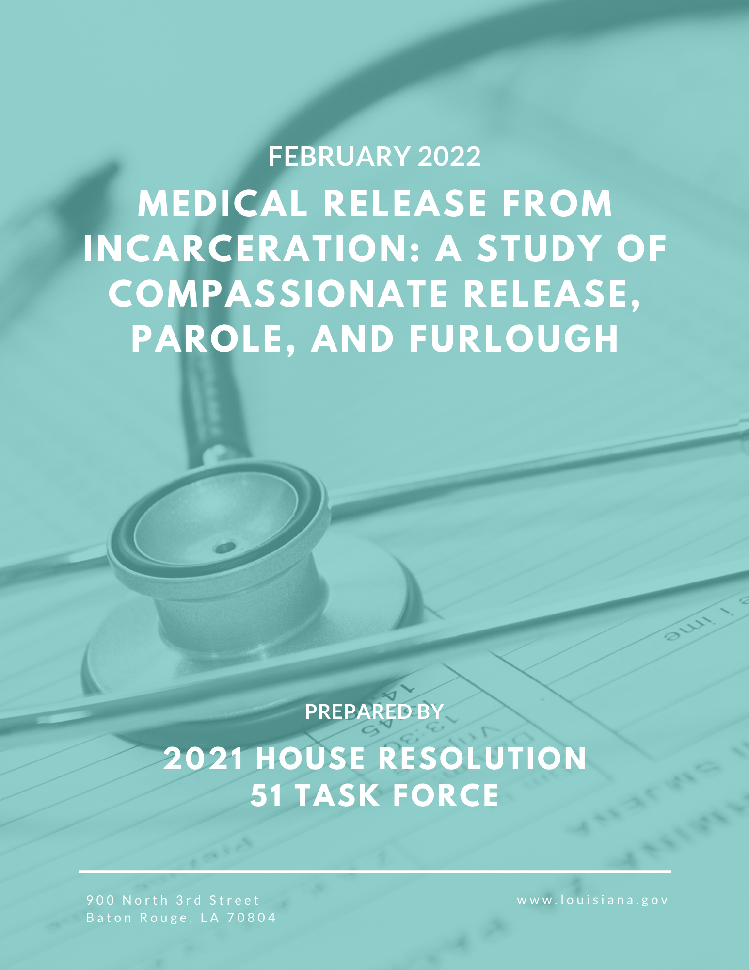 Reports — The Promise of Justice Initiative