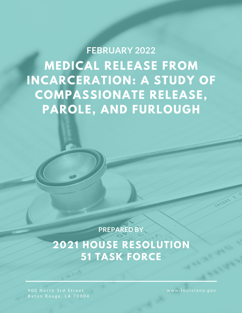 Reports — The Promise of Justice Initiative