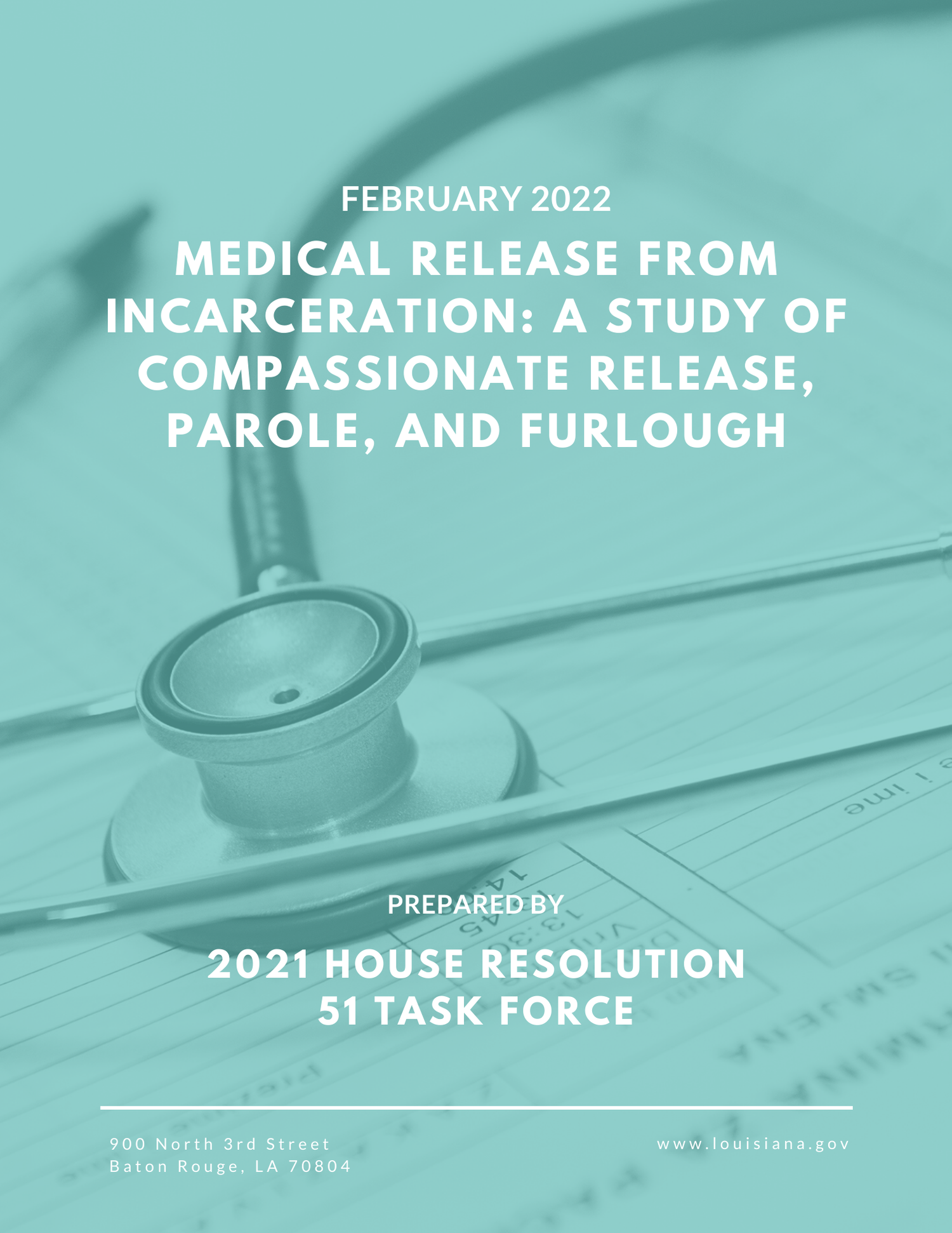 Reports — The Promise of Justice Initiative