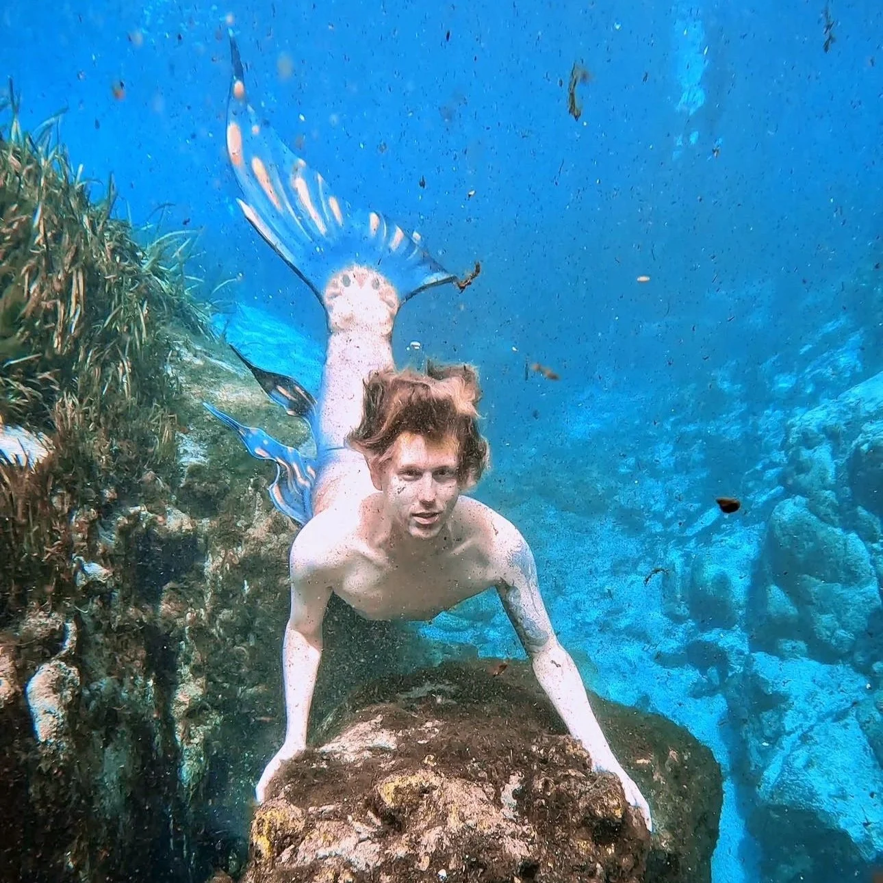 Who We Are — BACK ALLEY NAILS