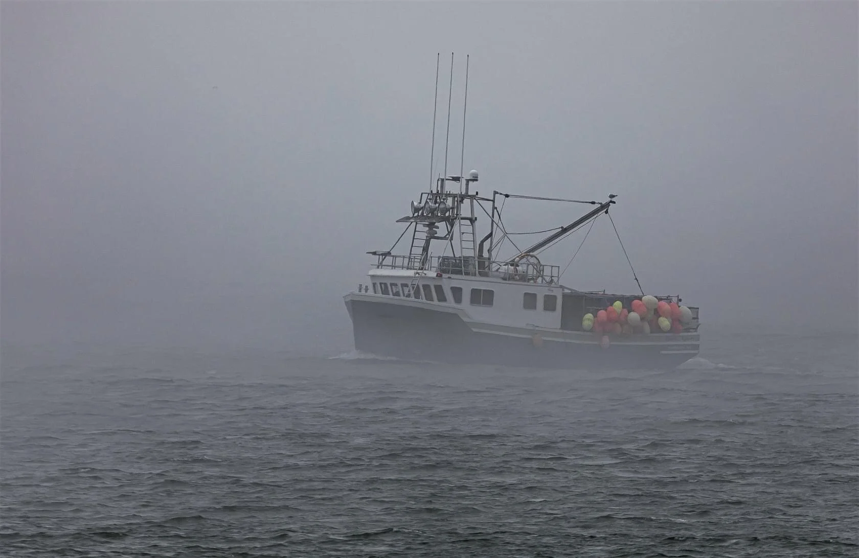 News — Unified Fisheries Conservation Alliance (UFCA)