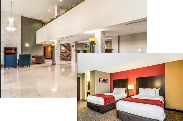 NPC Midwest Gladiator — NPC Illinois Bodybuilding