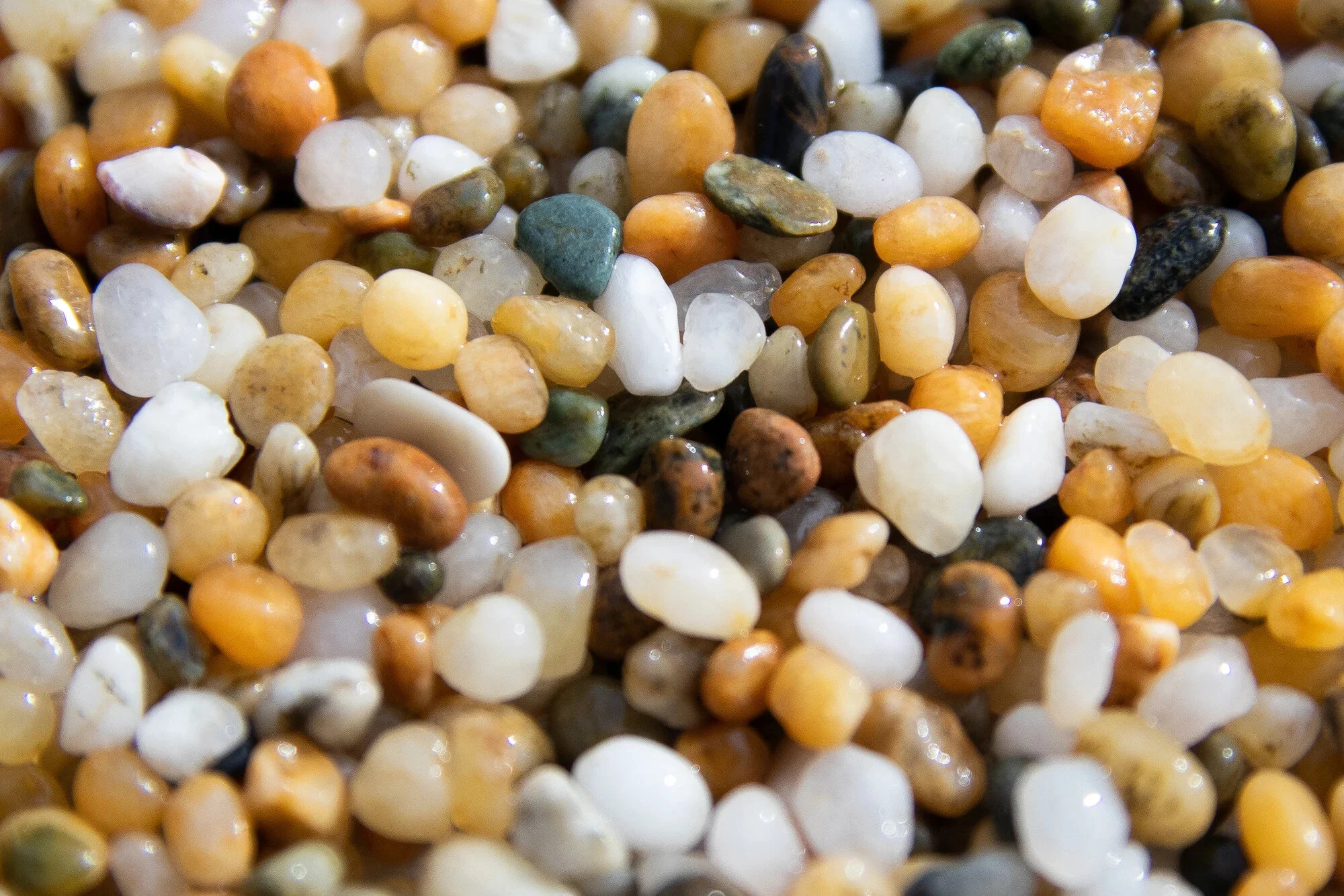 Pebblepools ME - Pool Finishes, Resurfacing - Transform your pool!