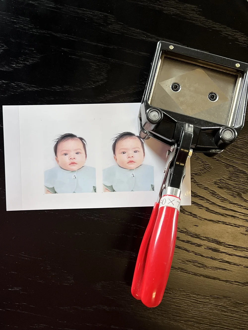 Passport Photos | Get Perfect Passport Photos Today — Allure Studios