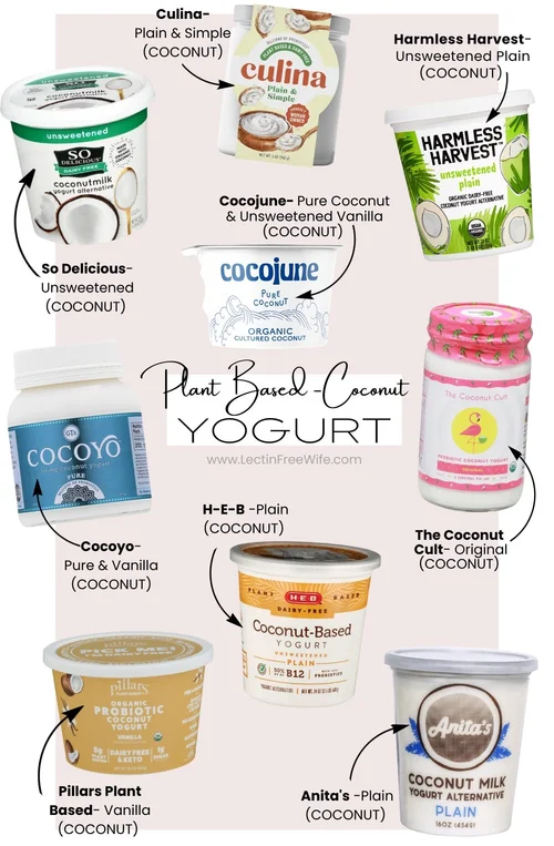 25 Yogurts You Need: Keto Yogurt Shoppers Guide — Lectin-free and ...