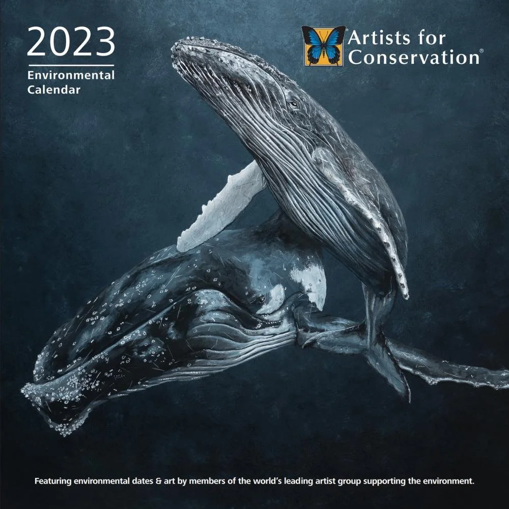 Fine Art by Sarah McComb-Turbitt