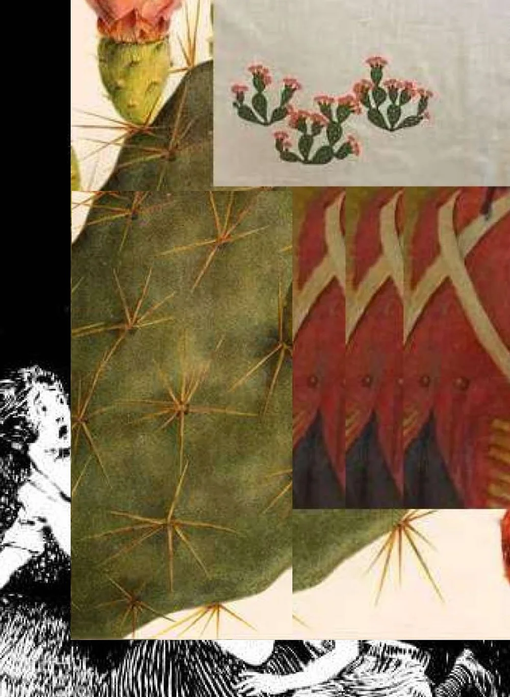 Echoes of Invasions (Prickly Pear) — Outer Space