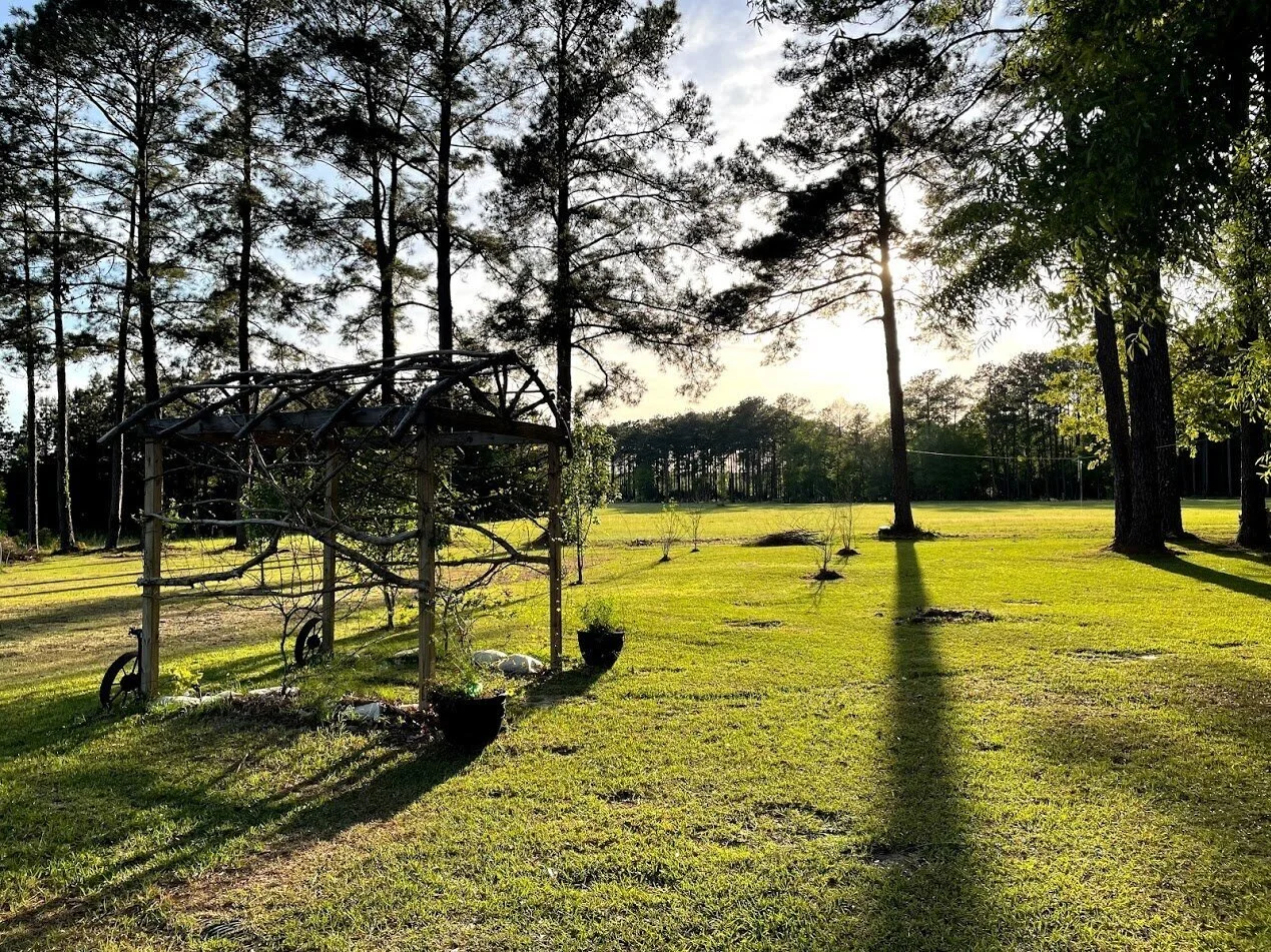 Photo Gallery — The Lively Oak