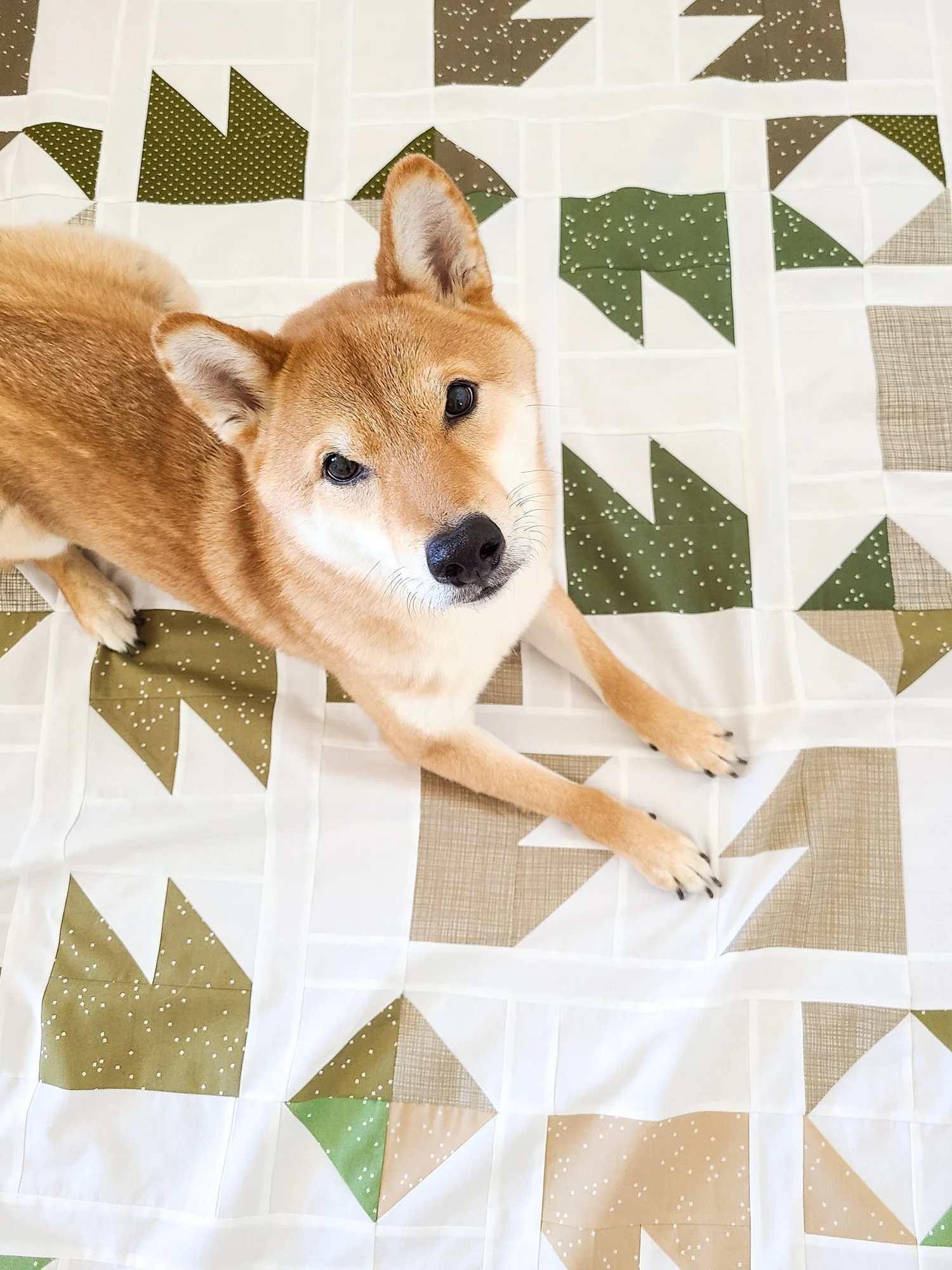 SoMa Quilt Pattern Launch — Sarah Jean Makes