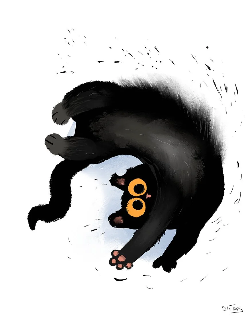 2020 Calendars — Dan Tavs Illustration