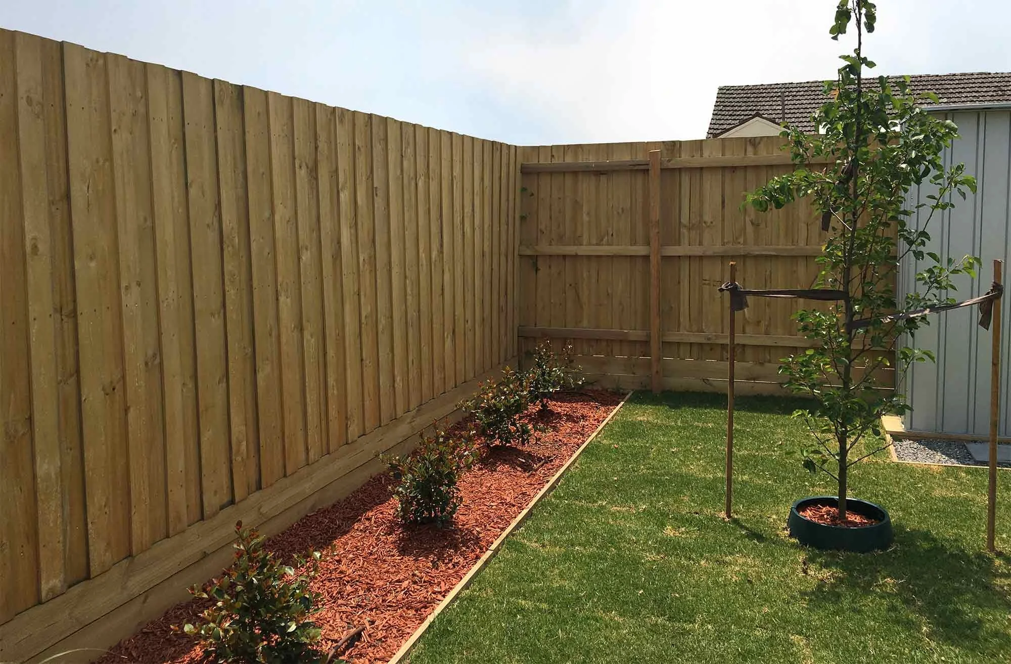 Paling Fence — Mr Paling Fence