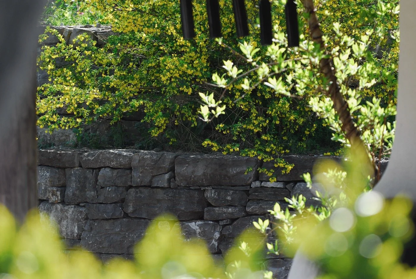 Mark Fetzer Gartengestaltung