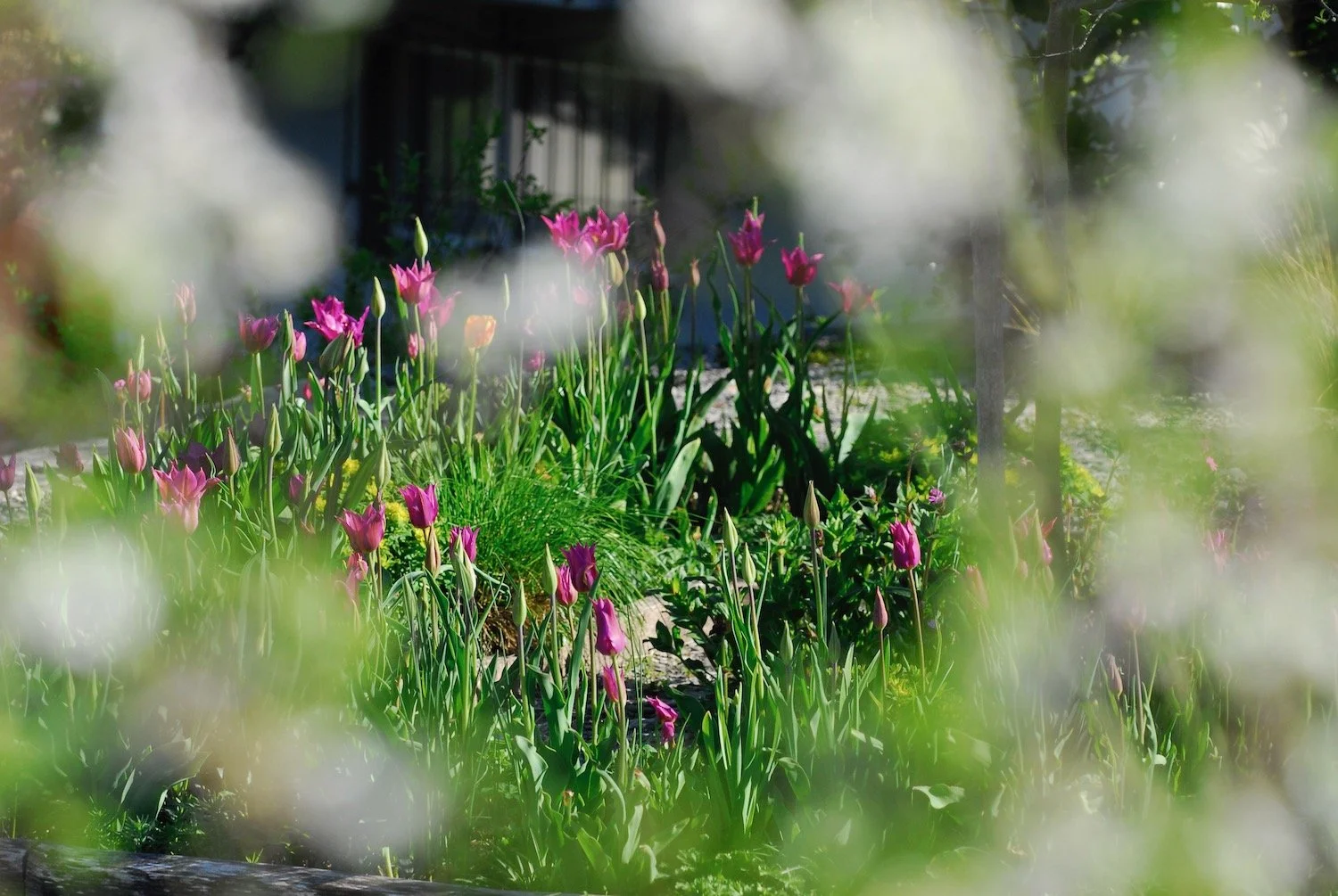 Mark Fetzer Gartengestaltung